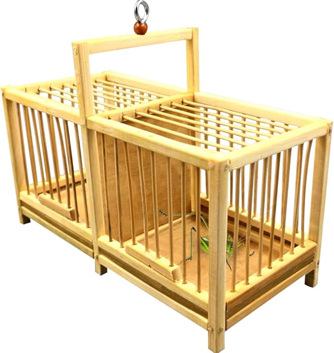 Amazon.com: Creation Core Bamboo Insect Mesh Cage Bug Habitat Insect ...