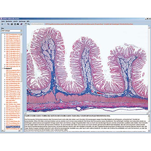 Feeding organs and metabolism in the human body, Interactive CD-ROM ...