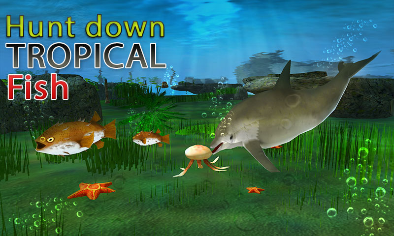 Dolphin Simulator 3D:Amazon.com:Appstore for Android