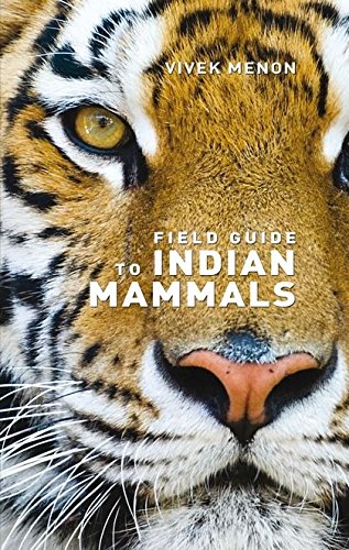 Field Guide to Indian Mammals: Menon, Vivek: 9781408112137: Books ...