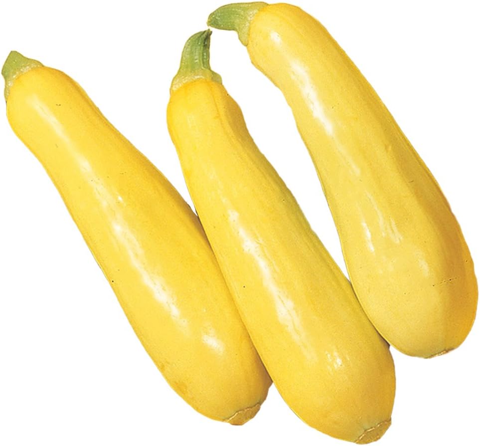 Amazon.com : Burpee Saffron Summer Squash Seeds 100 seeds : Garden ...