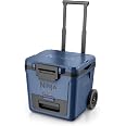 Amazon.com: Ninja | Cooler | FrostVault 30QT Cooler with Wheels ...
