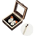 Amazon.com: Insect Display Case Frame,Butterfly Shadow Box with Top Eva Foam Pinning Board ...