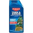 Amazon.com: BioAdvanced Tree & Shrub Insect Killer, Outdoor Pest ...