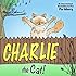 Charlie (Little Golden Readers): Diane Fox Downs: 9780307602060: Amazon ...