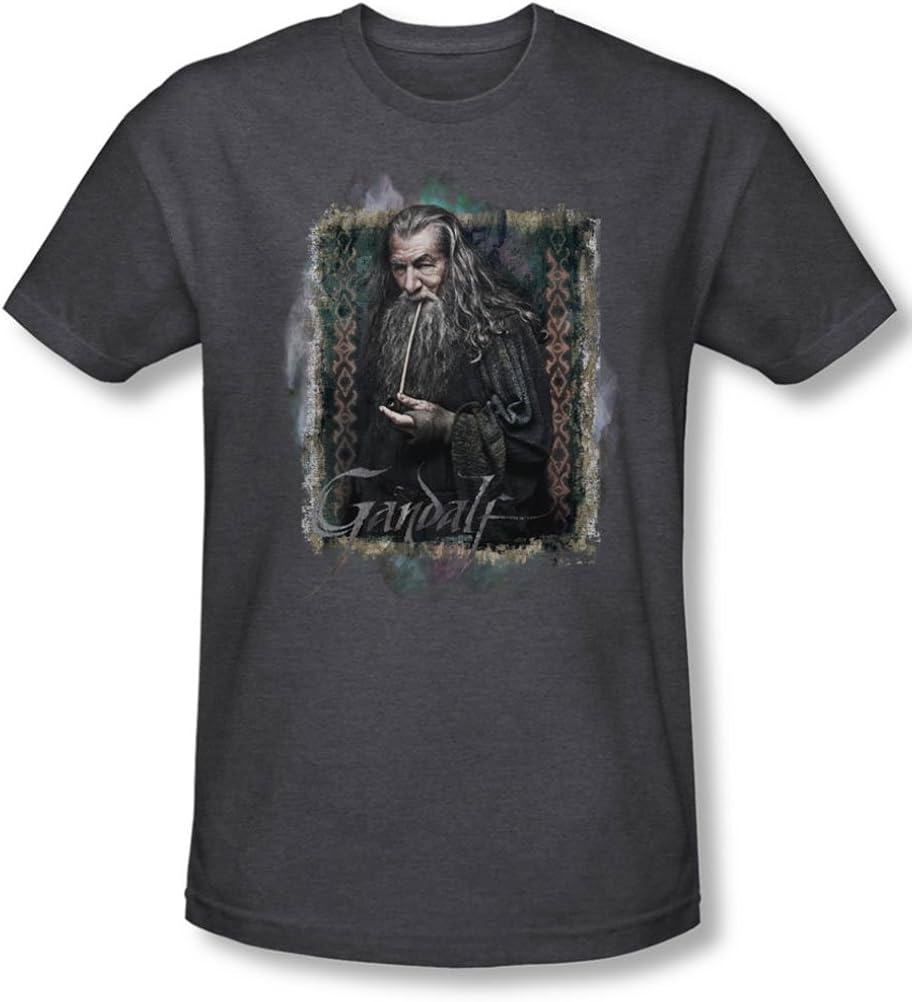 Amazon.com: The Hobbit - Mens Gandalf T-Shirt In Charcoal: Clothing