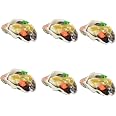 Amazon.com: LONG XIN SERIES 6 Pcs Simulated Oyster Artificial Lifelike ...
