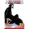 Amazon.com: Bleach, Vol. 37: 9781421533148: Kubo, Tite: Books
