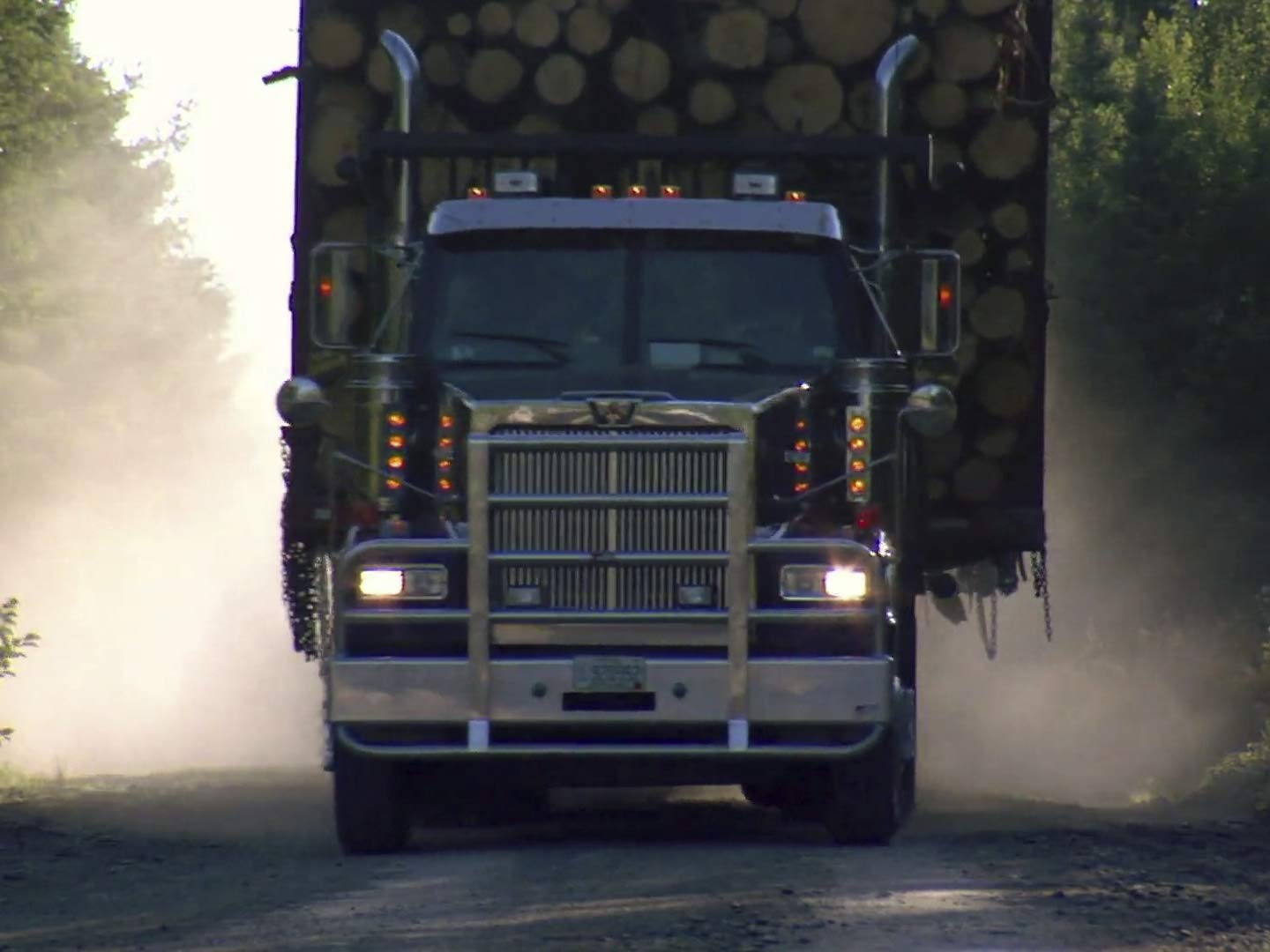 Watch American Loggers - Season 1 | Prime Video