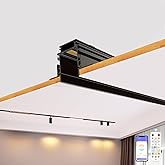 Hengsense Magnetic Track Lighting Rail, 4-Wire Recessed Aluminum Rail ...