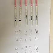 50 x David Ovulationstest Streifen 10 miu/ml LH ovulation test: Amazon ...
