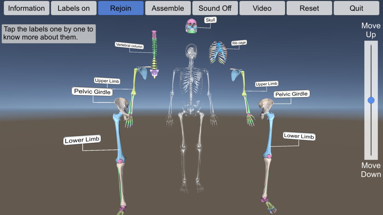 Skeletal System:Amazon.in:Appstore for Android