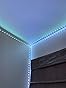Amazon.com: Tenmiro Led Strip Lights 130ft (2 Rolls of 65ft) Smart ...