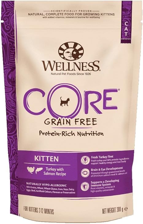 Wellness CORE Cat Food Dry Kitten, Grain Free, Salmon & Turkey, 300 g ...