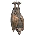 Amazon.com: Bristol Novelty HI124 Hanging Bat Prop | Brown | Pack of 1 ...