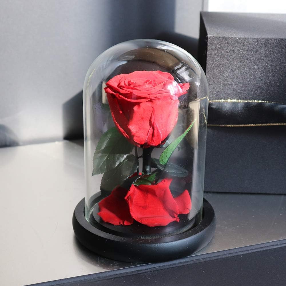 Amazon.com: Preserved Rose Red Real Rose in Glass Dome, Eternal Roses ...