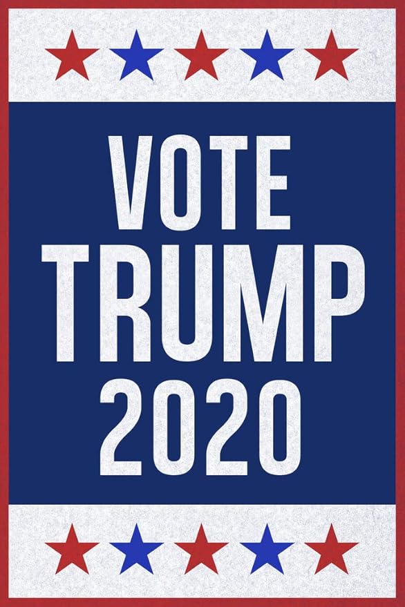 Vote Trump 2020 Campaign Cool Wall Decor Art Print Poster 30x46: Amazon ...