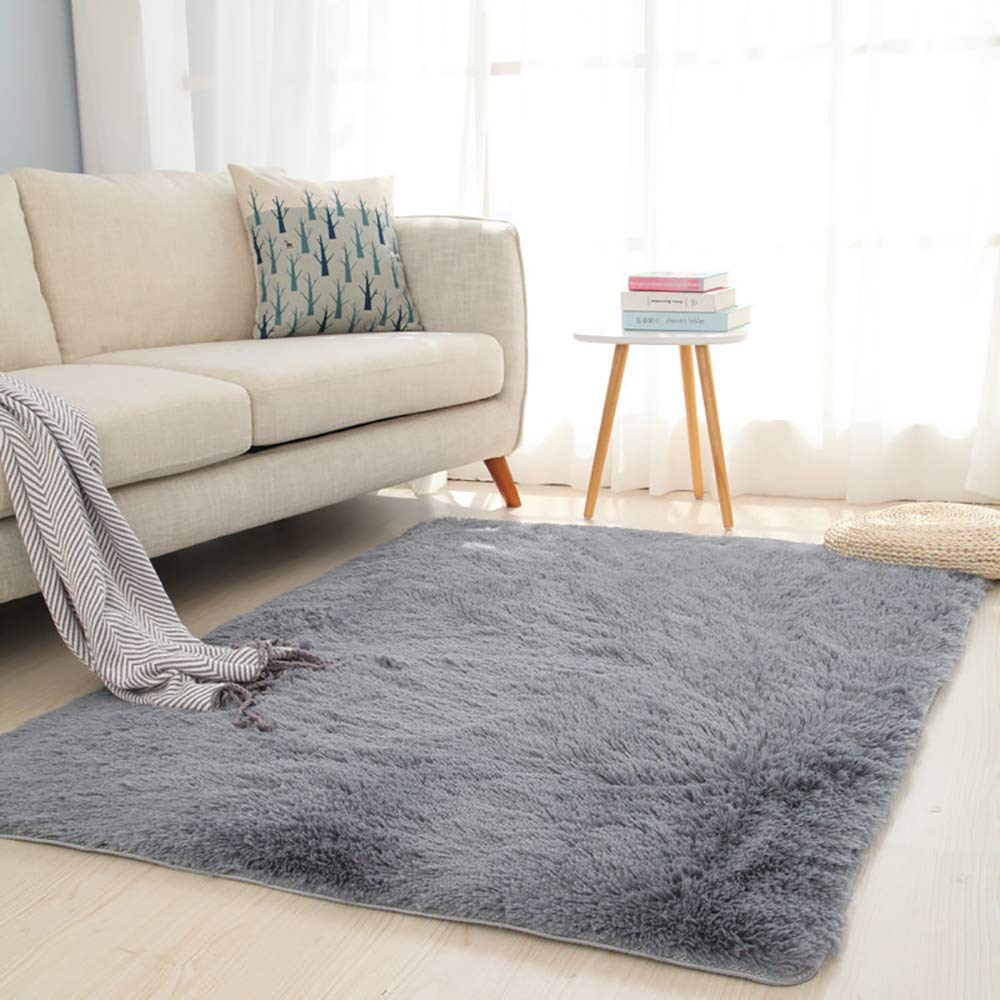 ST. BRIDGE Super Soft Indoor Modern Fluffy Area Rugs for Girls Room ...