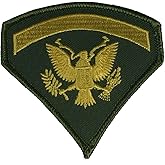 Amazon.com: U.S. Army Specialist E-4 SPC Rank TAB Patch - Color ...