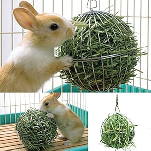 Stainless Steel Feed Hanging Ball Rabbit Pet Treat Dispenser Toy 8cm ...