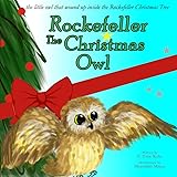 The Christmas Owl: Muse, Angela, Wu, Helen H.: 9781492936732: Amazon ...