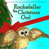 The Christmas Owl: Muse, Angela, Wu, Helen H.: 9781492936732: Amazon ...