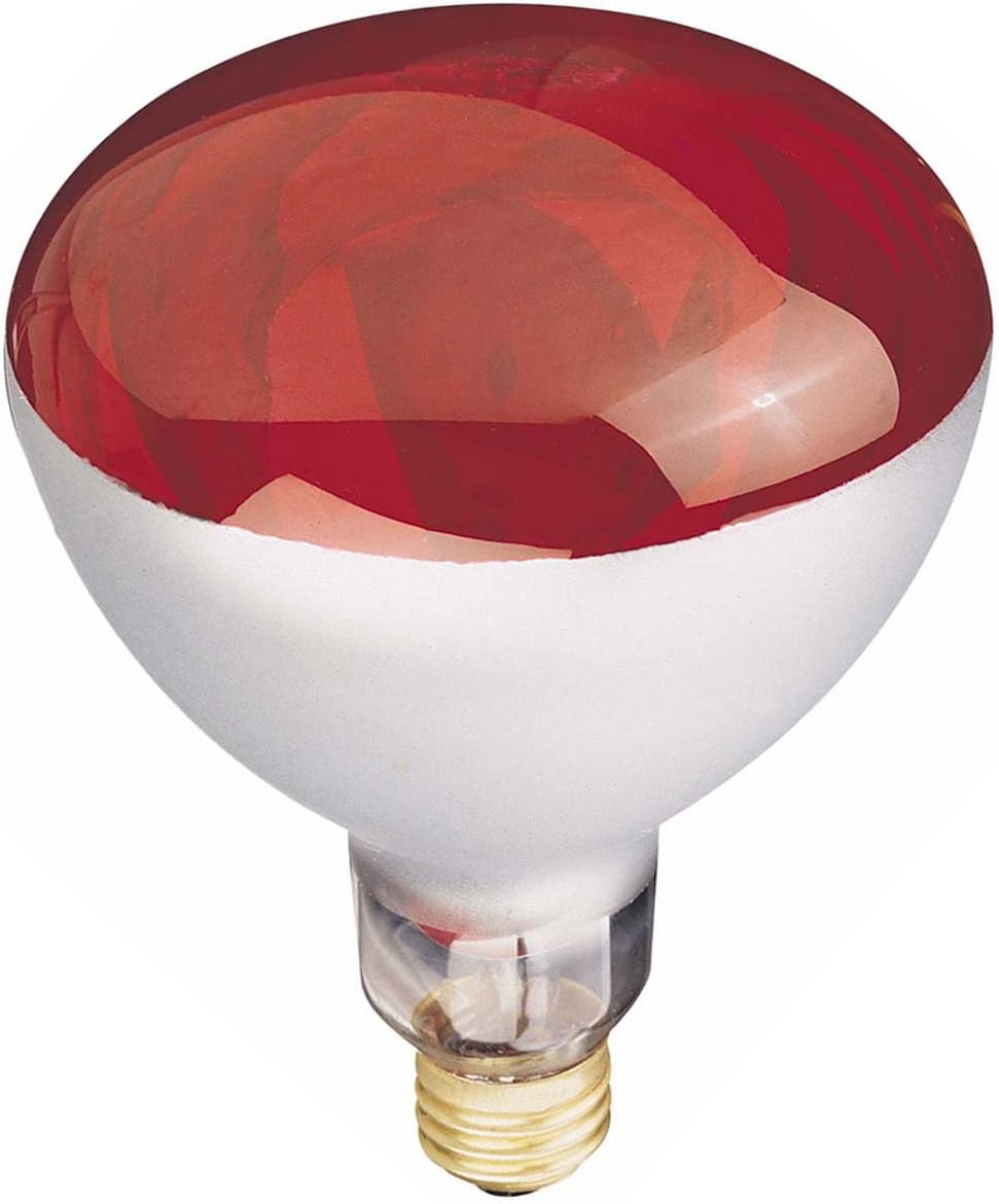 Globe Electric 03917 – 250 Watt R40 foco incandescente de lámpara de ...