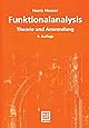 Funktionalanalysis: Theorie und Anwendung Mathematische Leitfäden ...