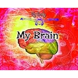 Speed (Incredibly Disgusting Drugs): Willett, Edward: 9781404213777 ...