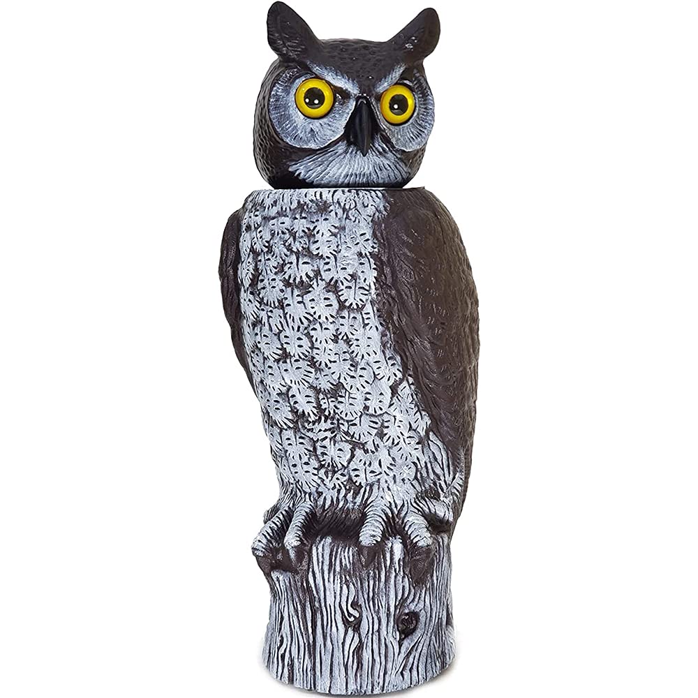 Outdoor Statues Oman | Buy Online | Whizz Others