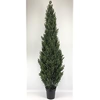 Amazon.com - 7 foot Tall Cedar Topiary Tree Plant in a Pot