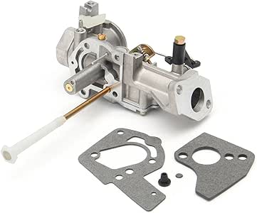 Amazon.com: New Carburetor for Briggs & Stratton 130202 112202 112232 ...