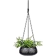 Amazon.com: Chonsun 8 Inch Hanging Planters for Indoor Outdoor Plants ...