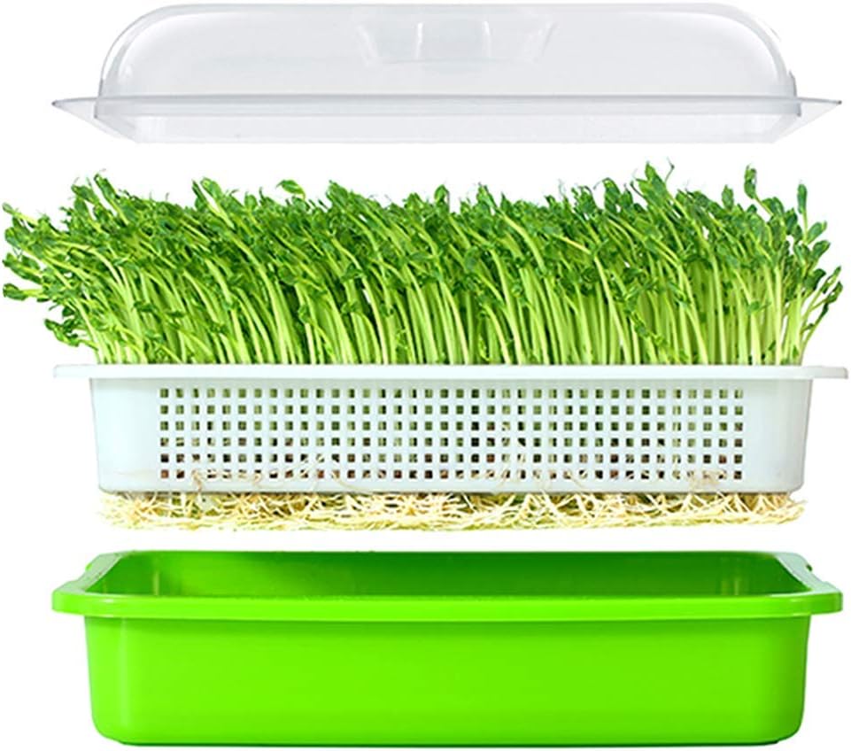 BIGHAVE Seed Sprouter Tray with Lid BPA Free Bean Sprout Grower ...
