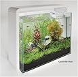 SuperFish Home 40 in Weiß: Amazon.de: Haustier