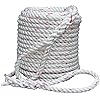 Arborist Bull Rope | High Strength Polyester | Tree Hoist Rigging Line ...