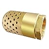 Brass Foot Valve, 2 inch NPT Spring Mesh Check Valve Female Connection ...