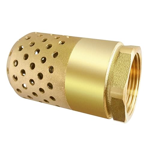Brass Foot Valve, 2 inch NPT Spring Mesh Check Valve Female Connection ...
