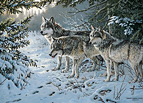 Winter Scene Jigsaw Puzzles | Jigsaw Puzzles For Adults