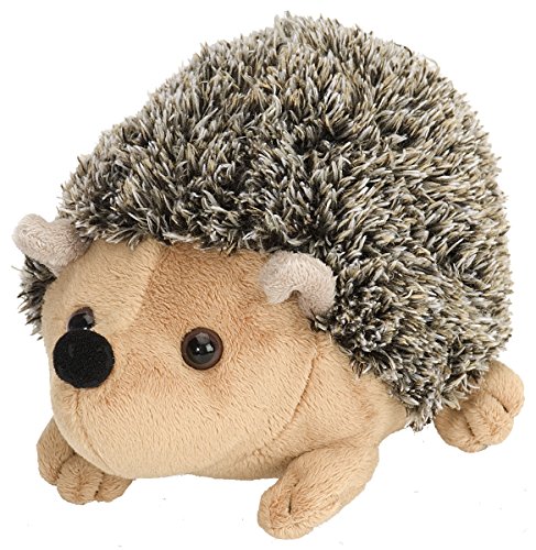 Hedgehog Gifts | Kritters in the Mailbox | Hedgehog Collectibles
