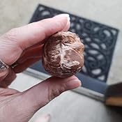 Amazon.com : Madelaine Chocolates, Exquisite, Intricate, Highly ...