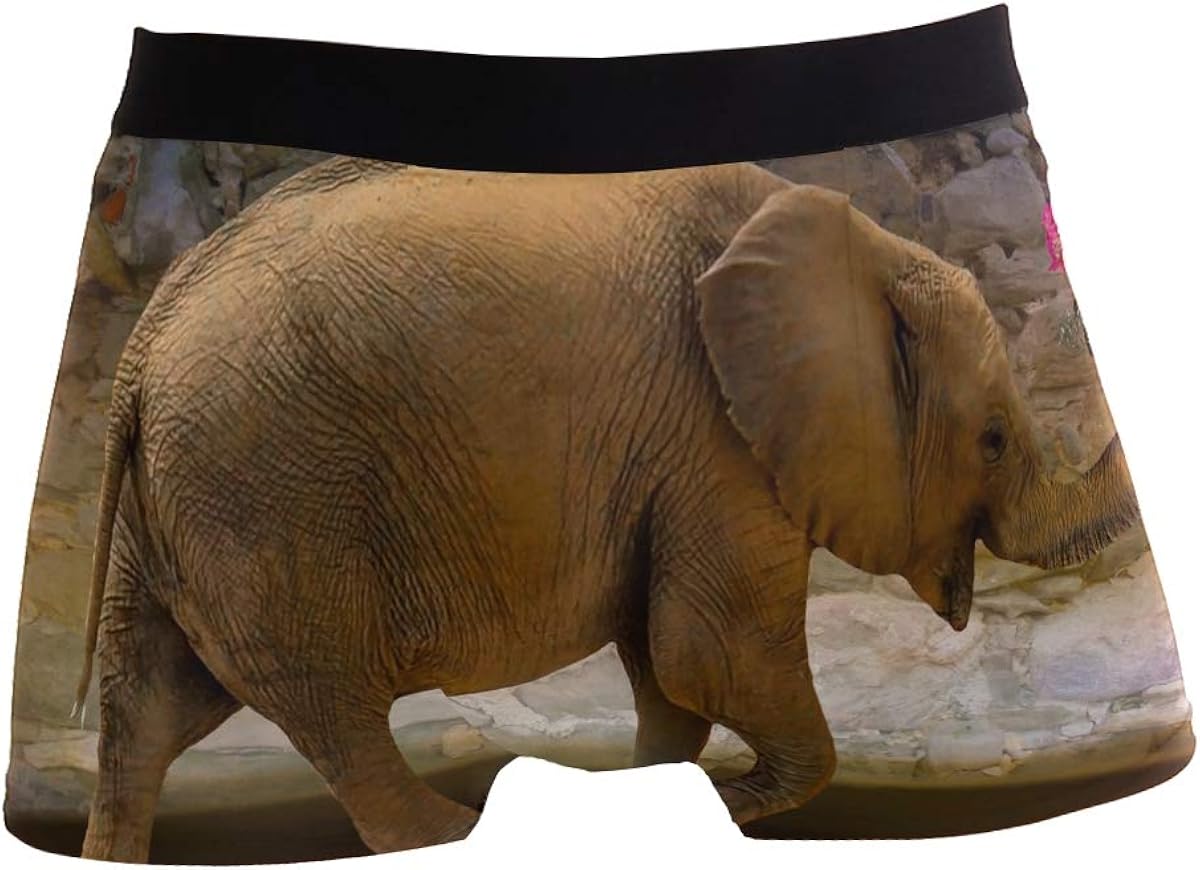 MONTOJ Awesome Animal Elephant and Pink Flower Men's Sports-Inspired ...