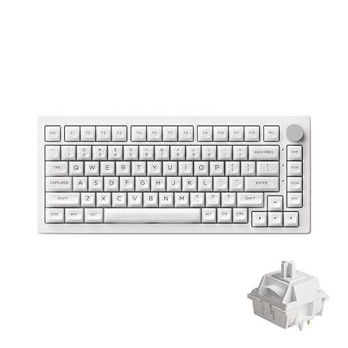 Akko 5075B Plus Shine-Through Mechanical Keyboard 75% RGB Hot-swappable ...