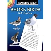 Learning About Sea Animals (Dover Little Activity Books: Sea Life): Sy ...