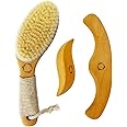 Amazon.com : Dry Brushing Body Brush for Lymphatic Drainage-Vegan Dry Brush with Contoured Non ...