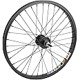 Amazon.com : WheelMaster Weinmann DM30 Rear Wheel - 20" x 1.75", 36H, 3 ...
