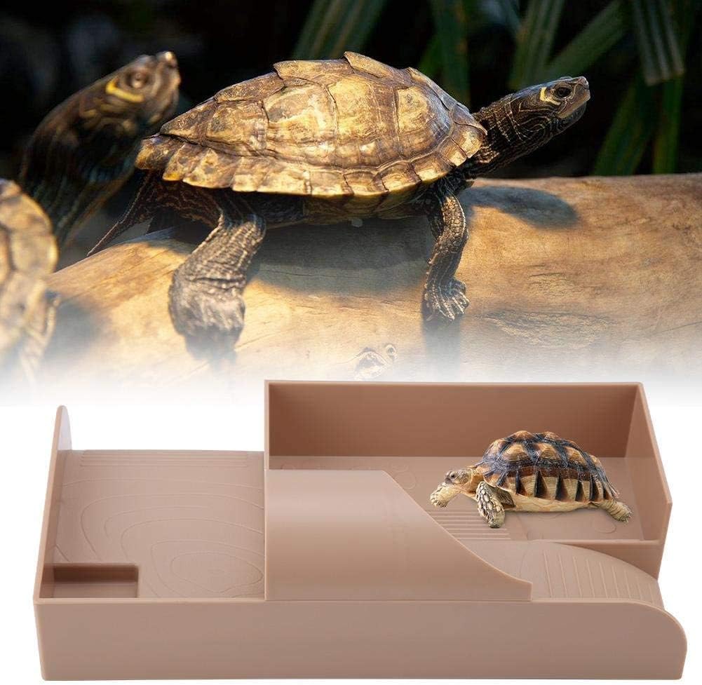 Turtle Basking Platform, Reptile Climbing Floating Island Drying ...