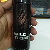 Buy Wild Stone Code Titanium Body Perfume For Men, 120ml Online at Low ...