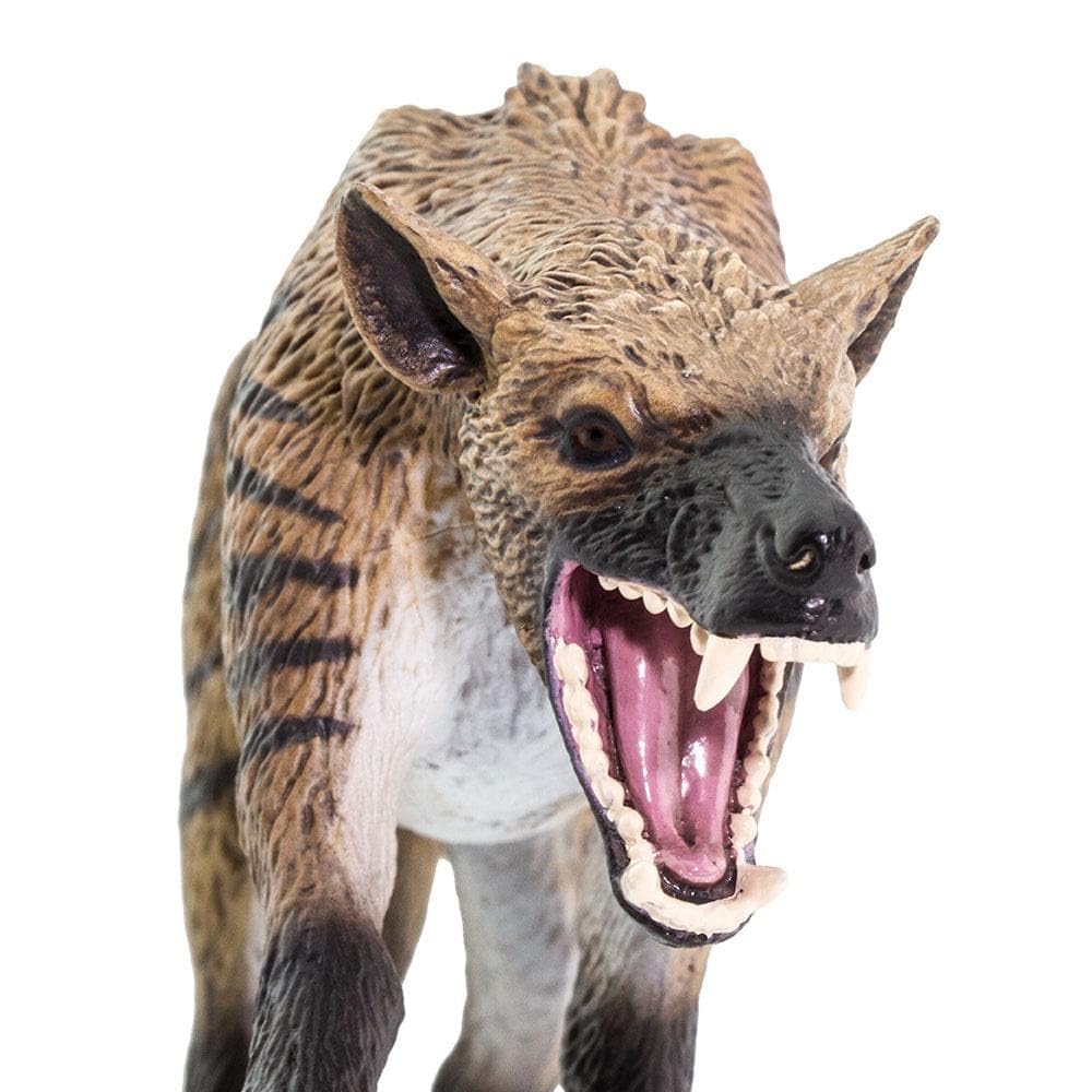 Safari Ltd. Hyaenodon Gigas Figure- Detailed 6.75" Prehistoric Model ...