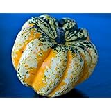 Amazon.com : Angel Wings Gourd 25 Seeds - RARE - NEW : Vegetable Plants ...